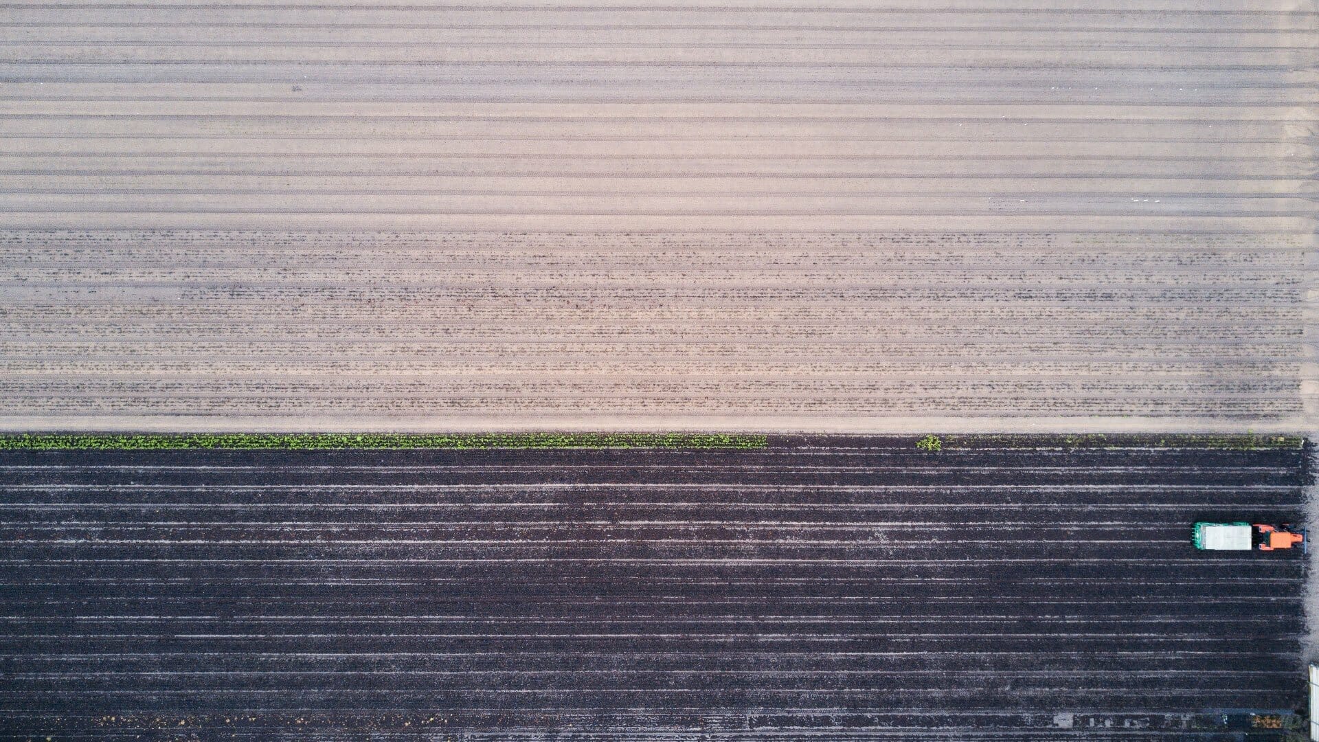 Reconsidering Land Reform and Agricultural Policy in Japan - OpenAsia